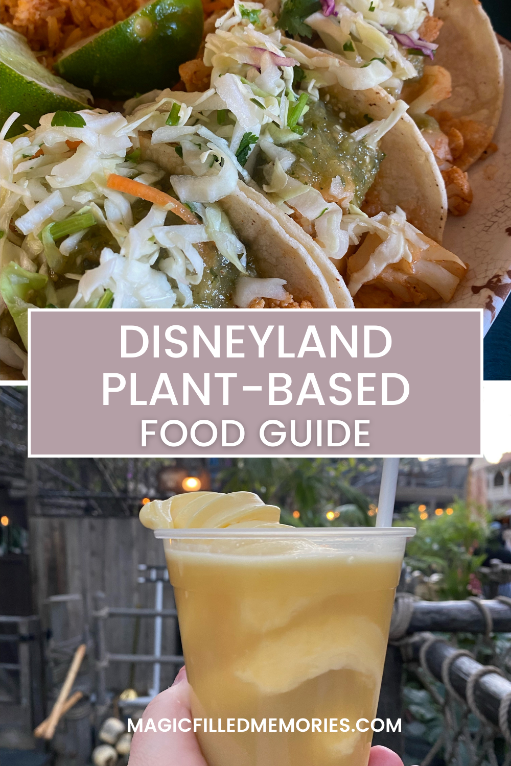 Disneyland Plant-Based Food Guide – Magic Filled Memories
