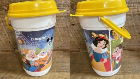 Over 30 years of Disneyland Popcorn Buckets – Magic Filled Memories